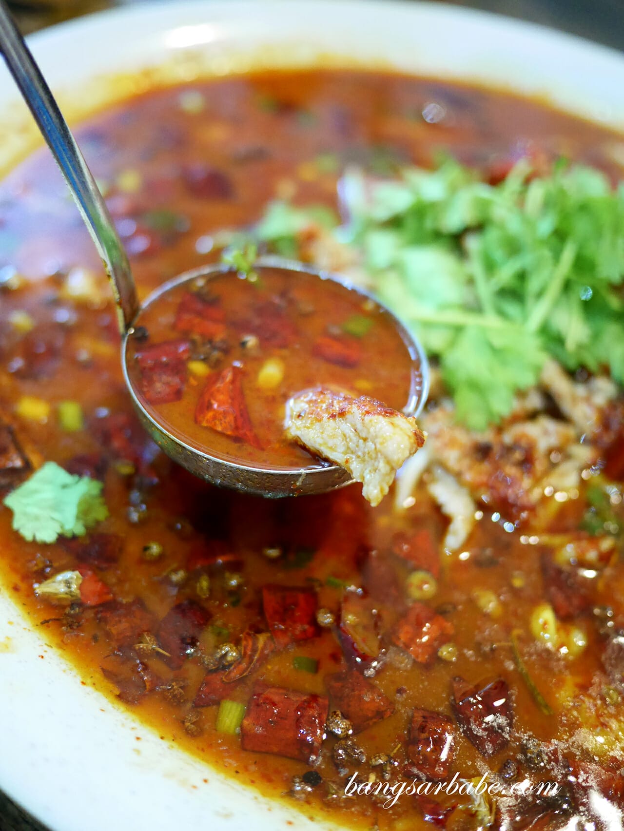 Cu Cha Dan Fan, Section 14 PJ - Bangsar Babe